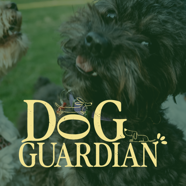 Miniserie: Je hond praat tegen jou (1) - de ogen – DogGuardian.nl